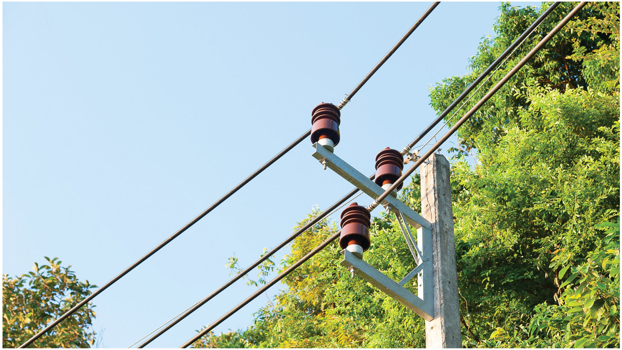 Progress Update: Status of works under the IPDS and DDUGJY - Power Line ...