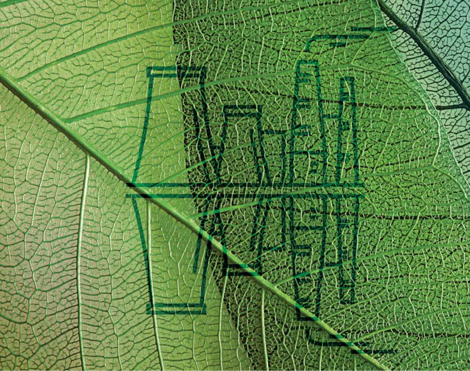 Green Rules: Revisiting the environmental clearance process - Power ...