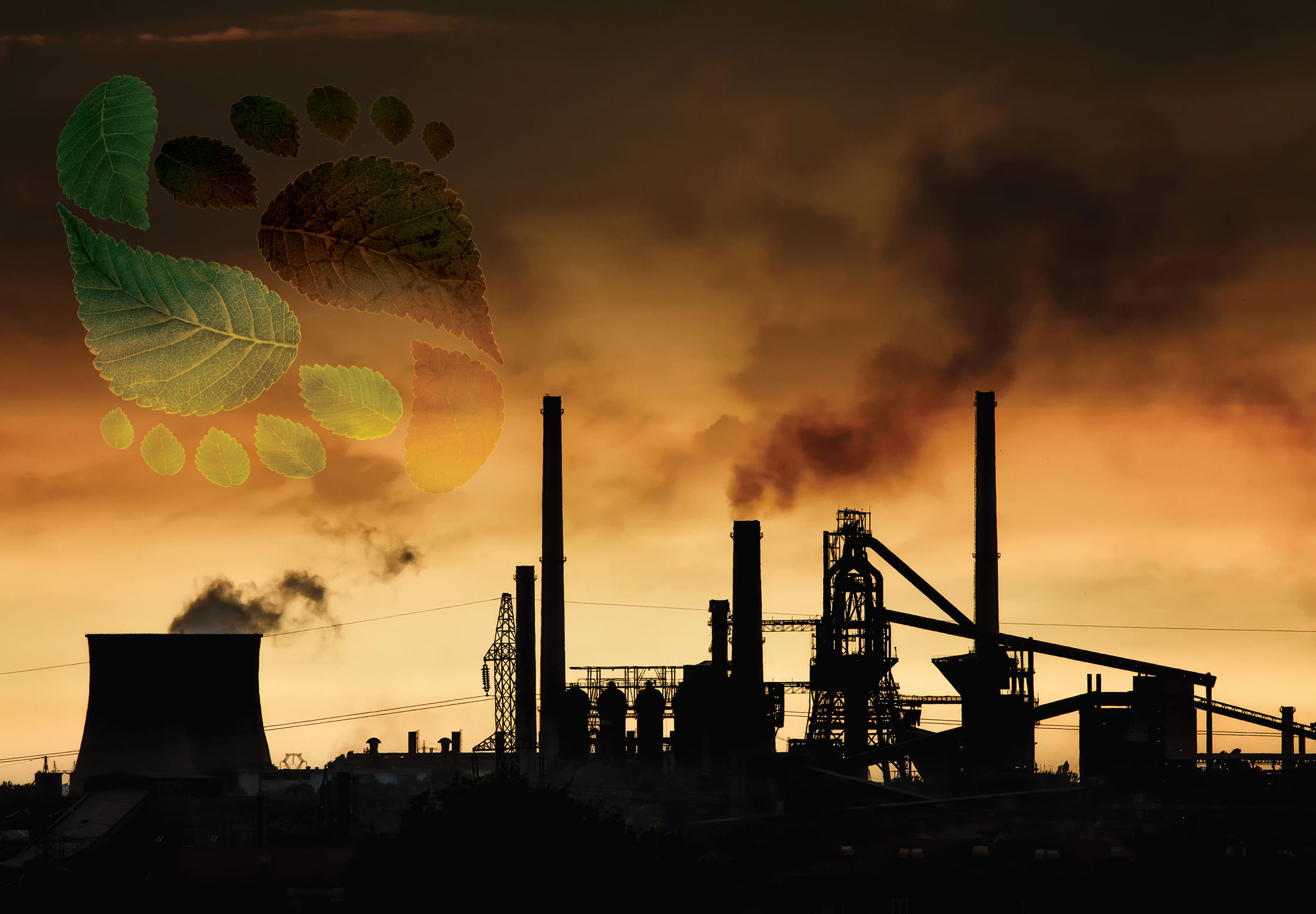 Decarbonising Industry: Pathway to a sustainable energy future - Power ...