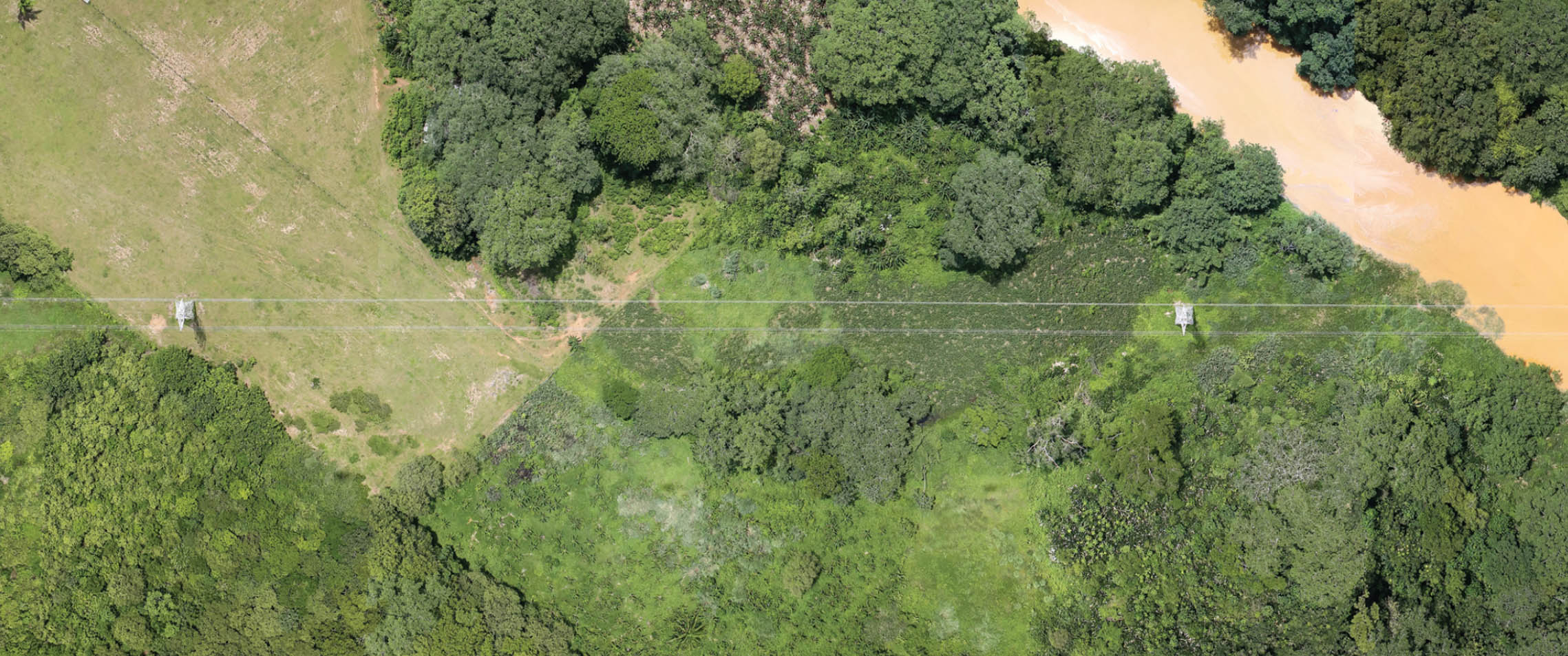 Smart Surveillance - Power Line Magazine
