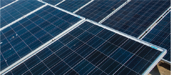 Interview with Dr Ajay Mathur: “India has laid the foundation for the ...