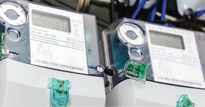 Data Protection: Cybersecurity strategies for smart meters - Power Line ...