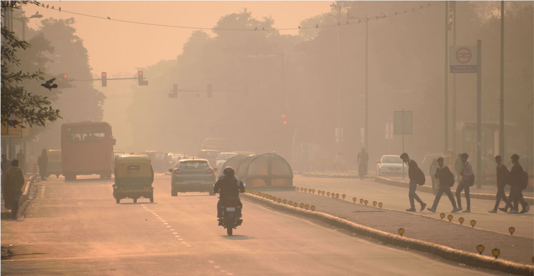 Clearing the Air: Biomass co-firing could be a solution to the smog ...